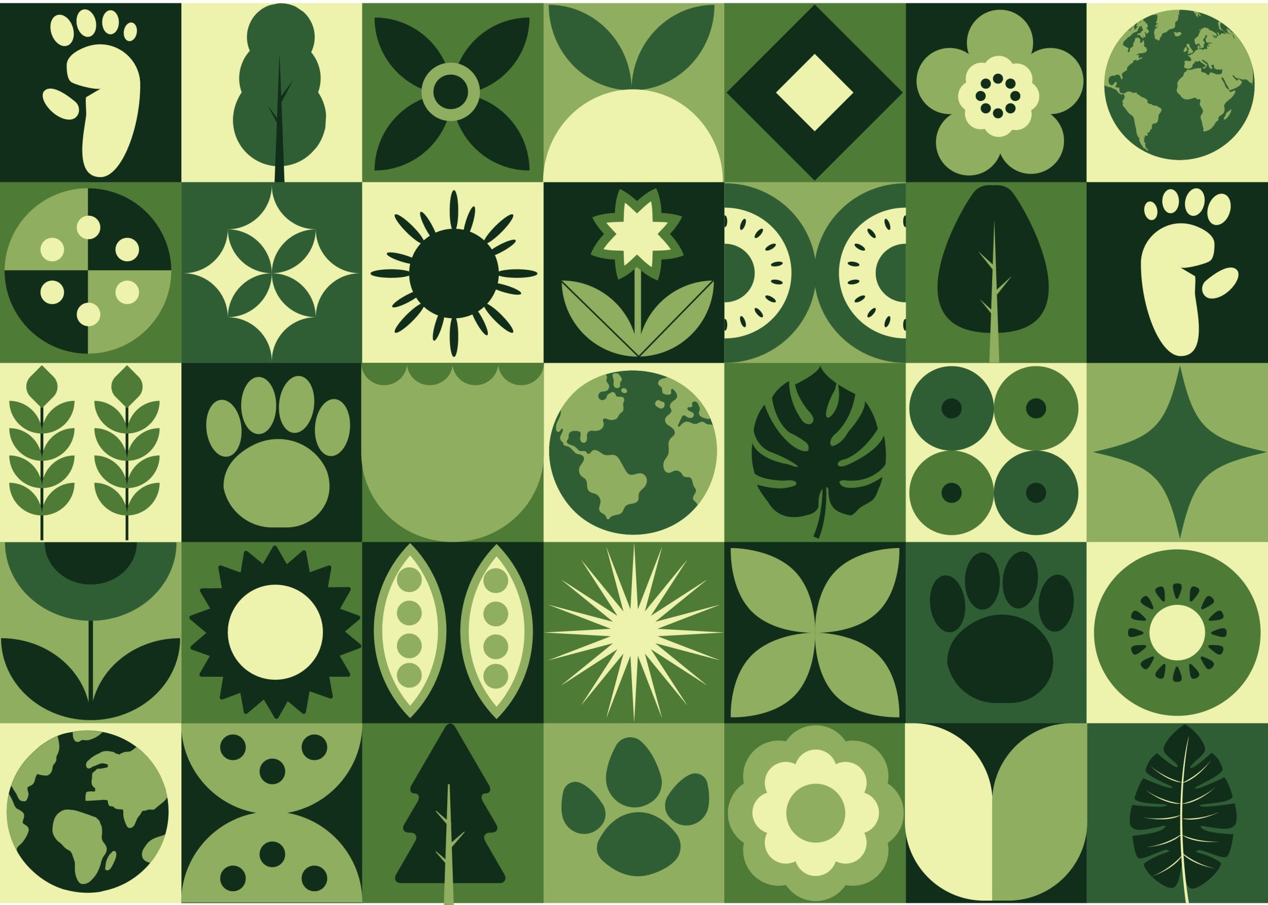 Celebrating Climate Week 2024: Our Climate Highlights - Edinburgh Science